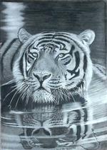 Tiger and its reflection Painting by Divya Joseph