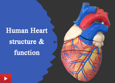 See painting videos, art videos, painting demo videos